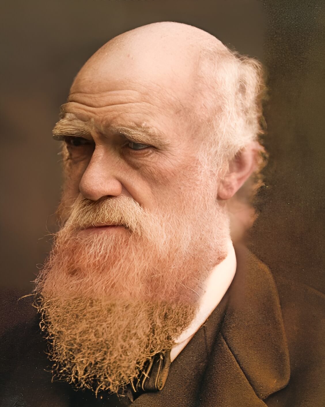 Karl Marx Photos in High Definition - Face26