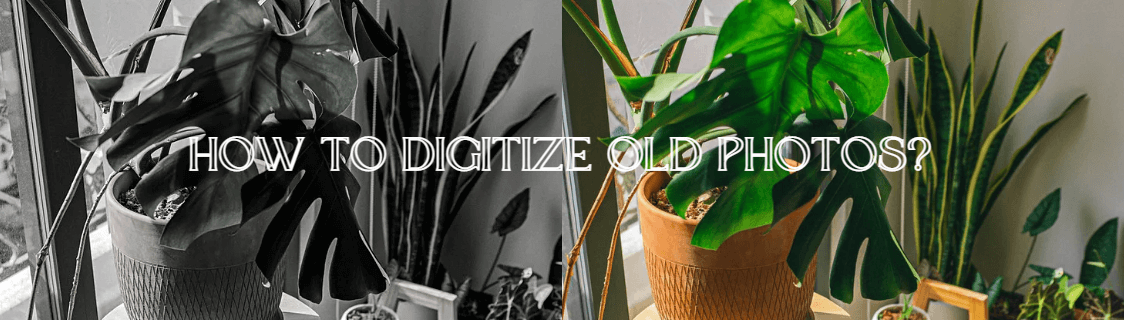 The Ultimate Guide to Digitizing Old Photos