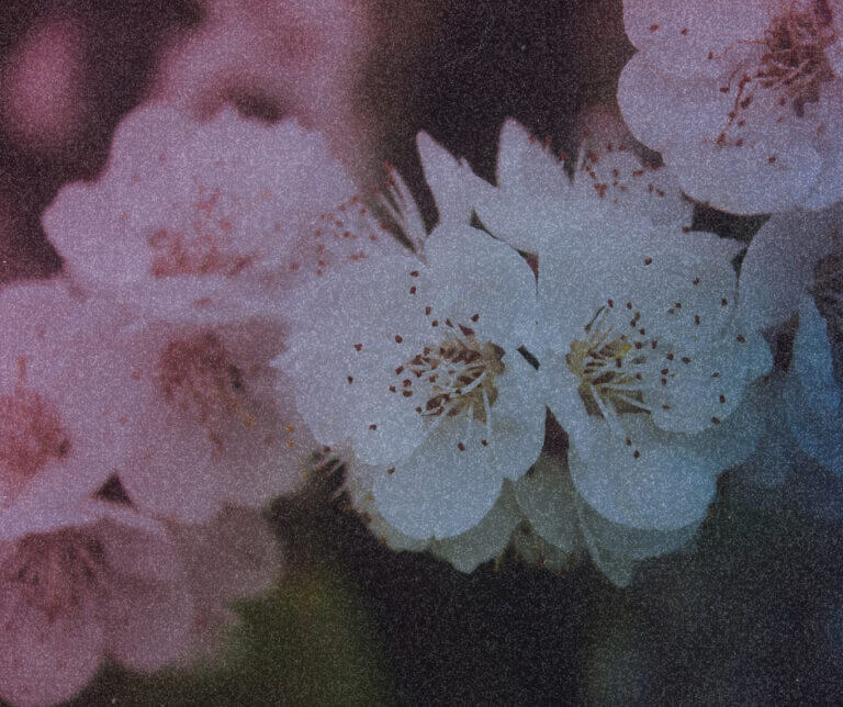 How to Unblur a Face in Photo Without Compromising Quality?