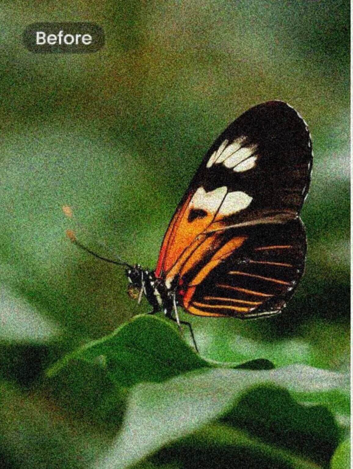 New 2024 AI Photo Denoiser - Try Image Denoiser Now