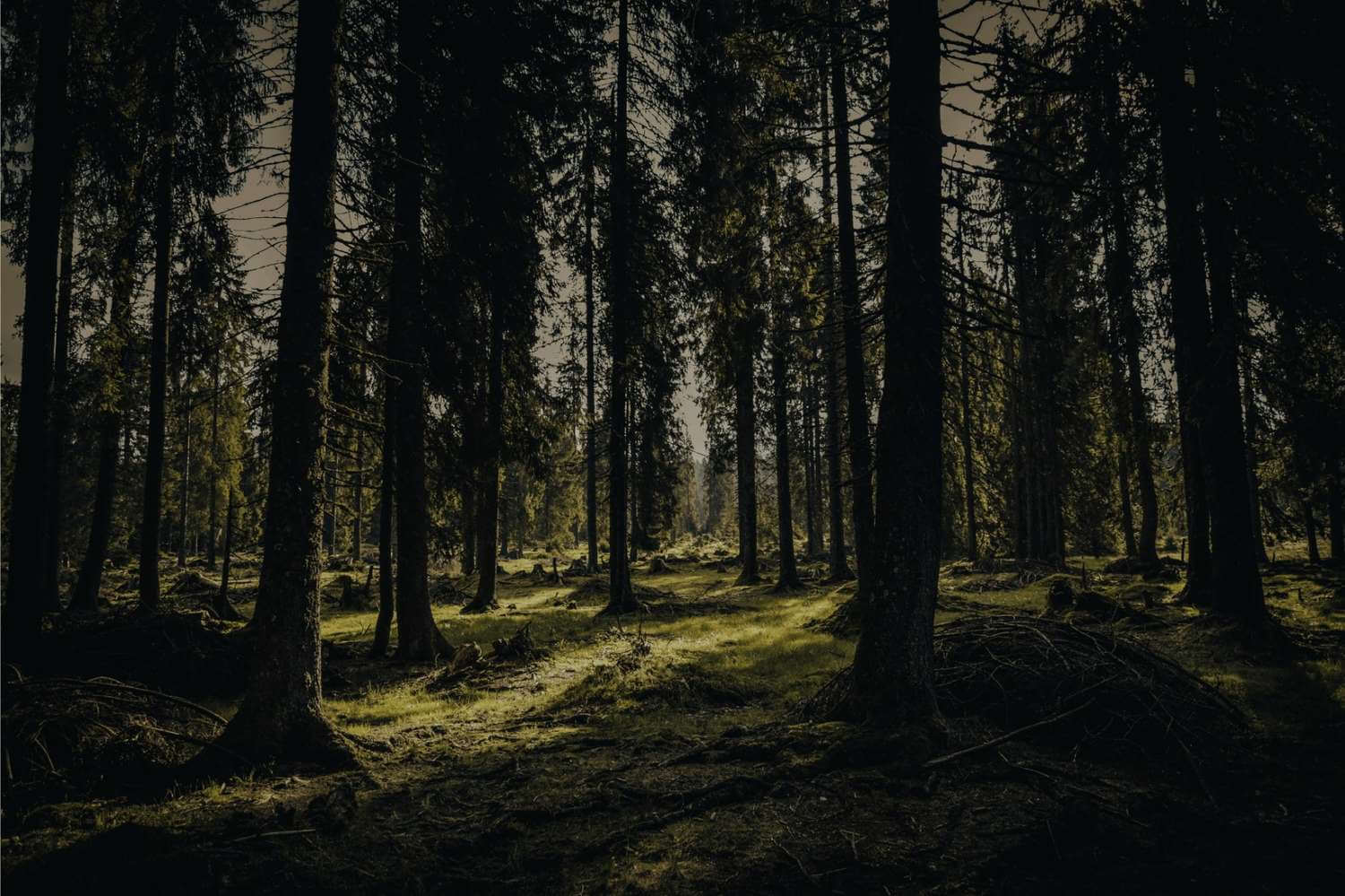 How to Fix Lighting in Photos