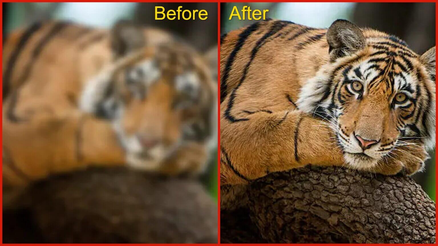 Unblur Photos on iPhone with These Simple Tips