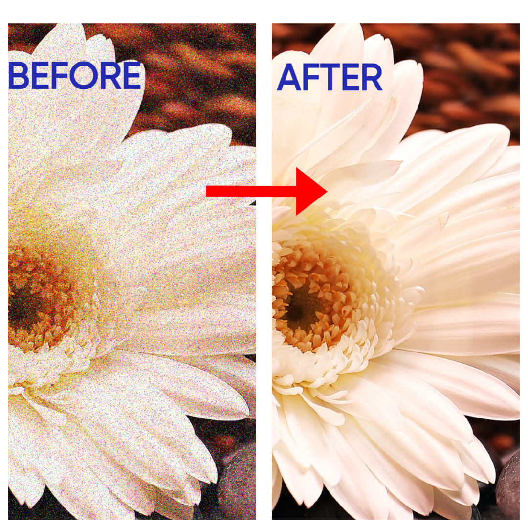 Denoising Your Photos with AI Online to Enhance Photo Clarity