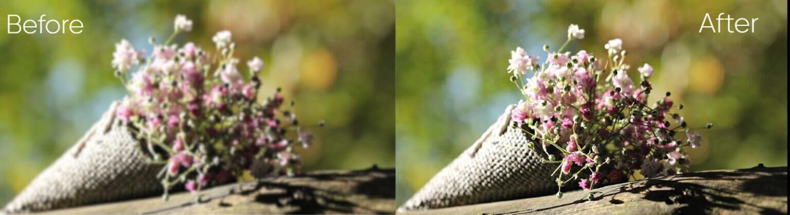 How to Fix Out of Focus Photos Online for Free