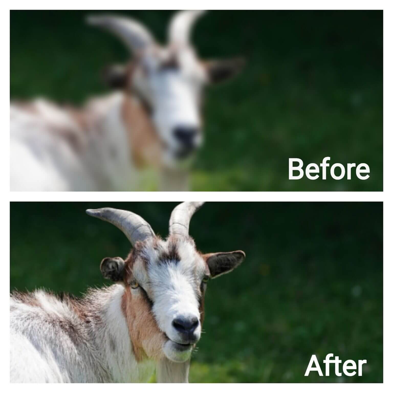 How to Unblur an Image in Photopea