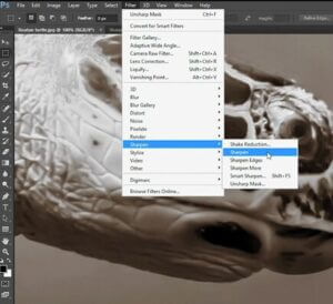 How to Enhance Zoomed-In image on Computer and Mobile