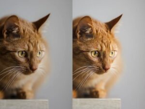 How to Improve the Quality of Downloaded Pictures